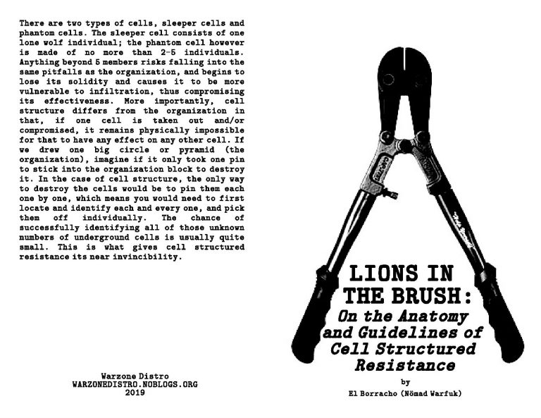Warzone Distro : Lions in the Brush: On the Anatomy and Guidelines of ...